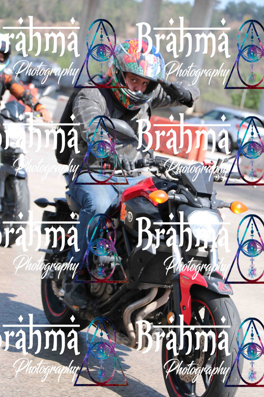 IMG 3306 — Postimages