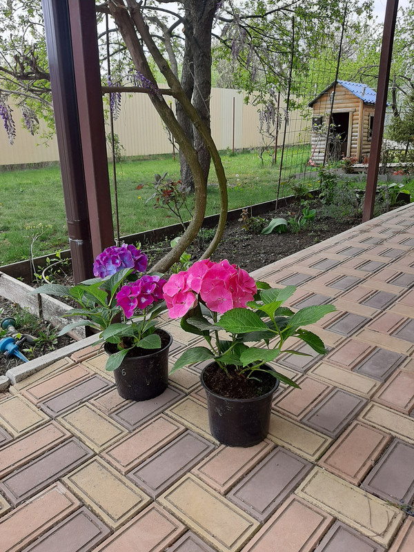 20240413 120413 — Postimages