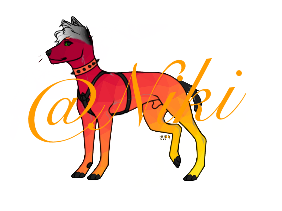 3 D42 B115 5000 46 C3 B89 F A5004310 C4 EE — Postimages