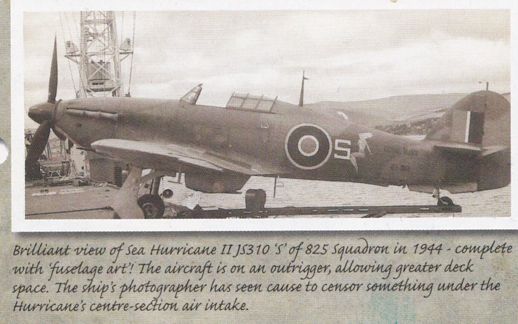 1/32nd FLY Sea Hurricane Mk.IIc, 825 NAS Fighter Flight, HMS Vindex ...