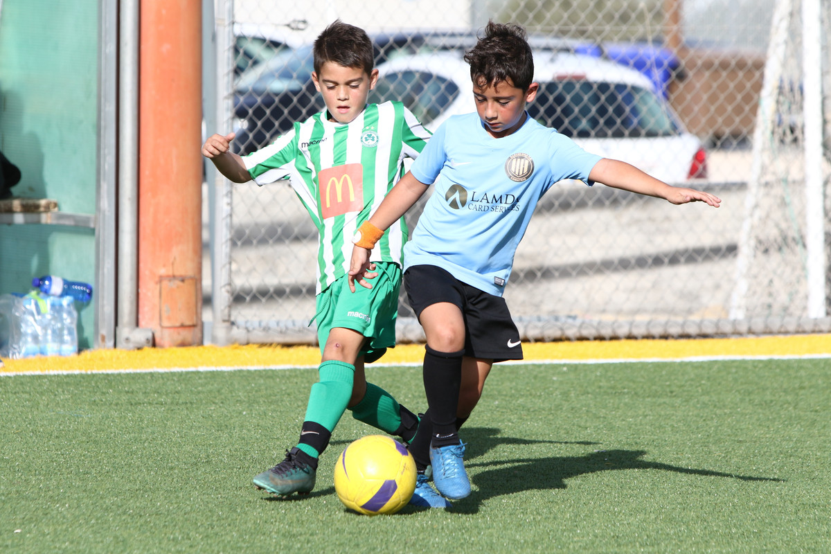 VIK 0356 — Postimages