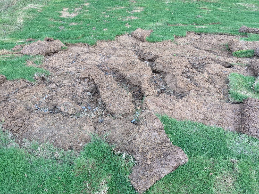 Dirt washed away on new Bermuda sod | Lawn Care Forum