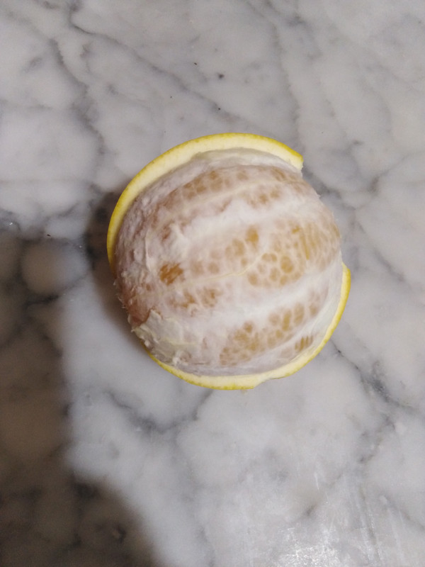 Chironja (Orangelo) - Pagina 3 - FruttAma.it - Coltivazione delle ...