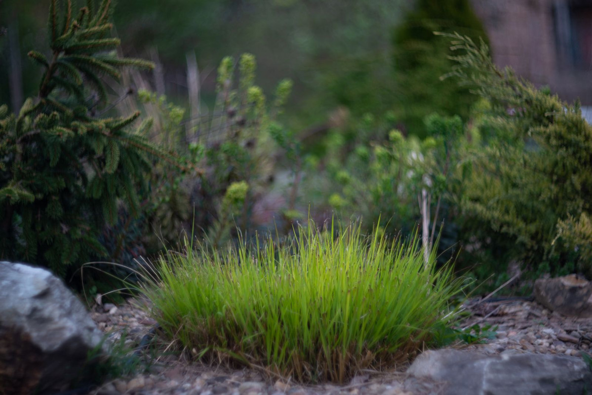 IMG ae762fa60fb60a4bb21cf44be65bceb5 V — Postimages