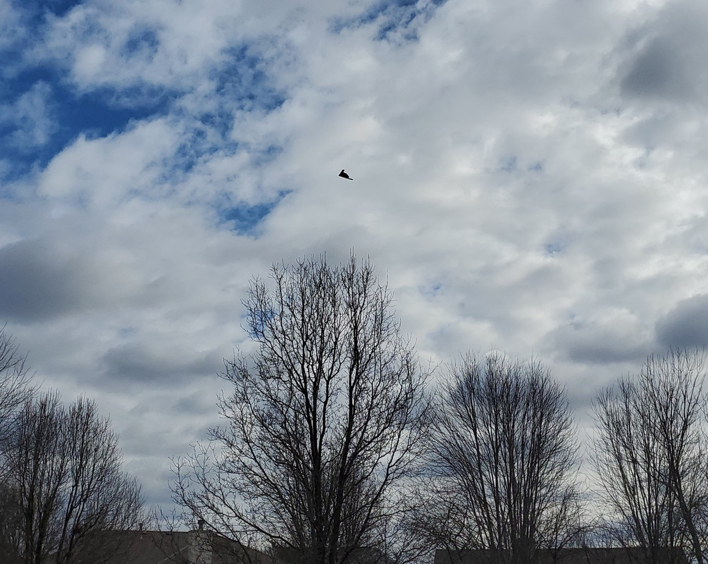 Had 4 stealth bombers fly over today > General Discussion > AR15.COM