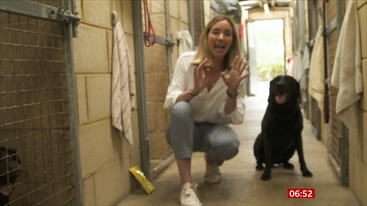 Breakfast 6 7 20220721 06000700 ts snapshot 52 43 750 — Postimages