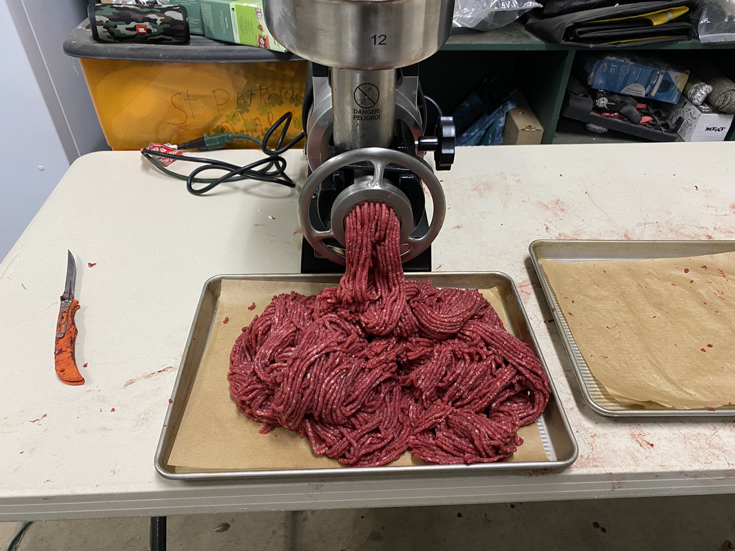 IMG 6523 — Postimages