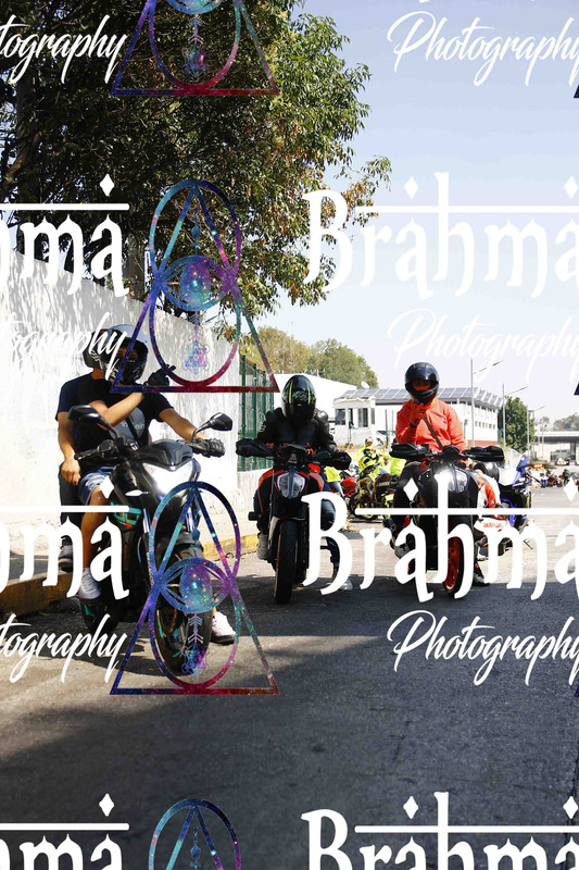 MG 1229 — Postimages