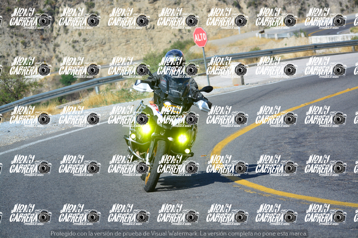 DSC 0025 — Postimages