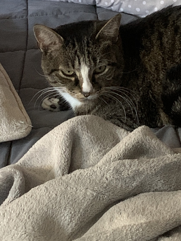 5388 EF37 C3 D4 4930 8 A1 A FFEF209454 C3 — Postimages