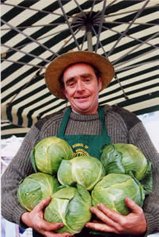 cabbages original — Postimages