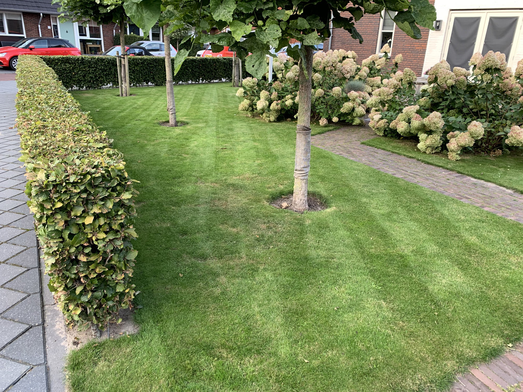 C6 B9 C0 C2 9 F9 F 4 D0 B BB54 C231796 F174 A — Postimages