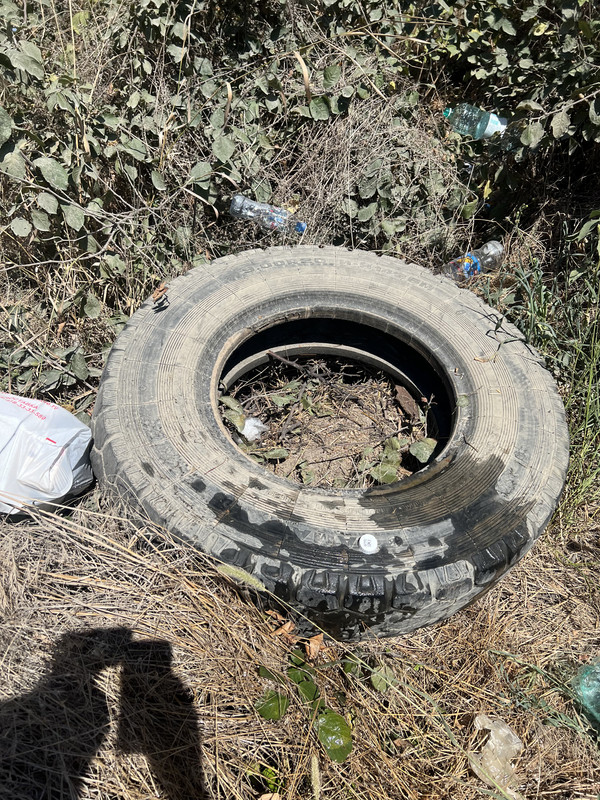 IMG 3350 — Postimages