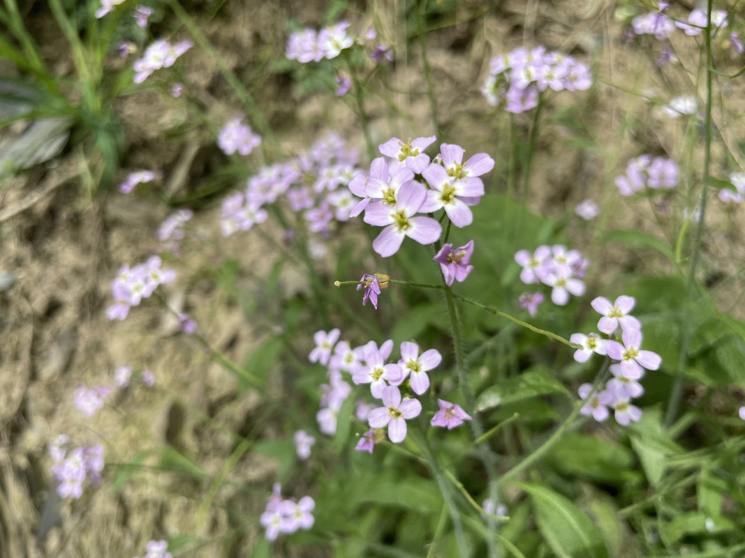 0651 B101 7202 4 DB7 B482 4 AB8 D054 C279 — Postimages