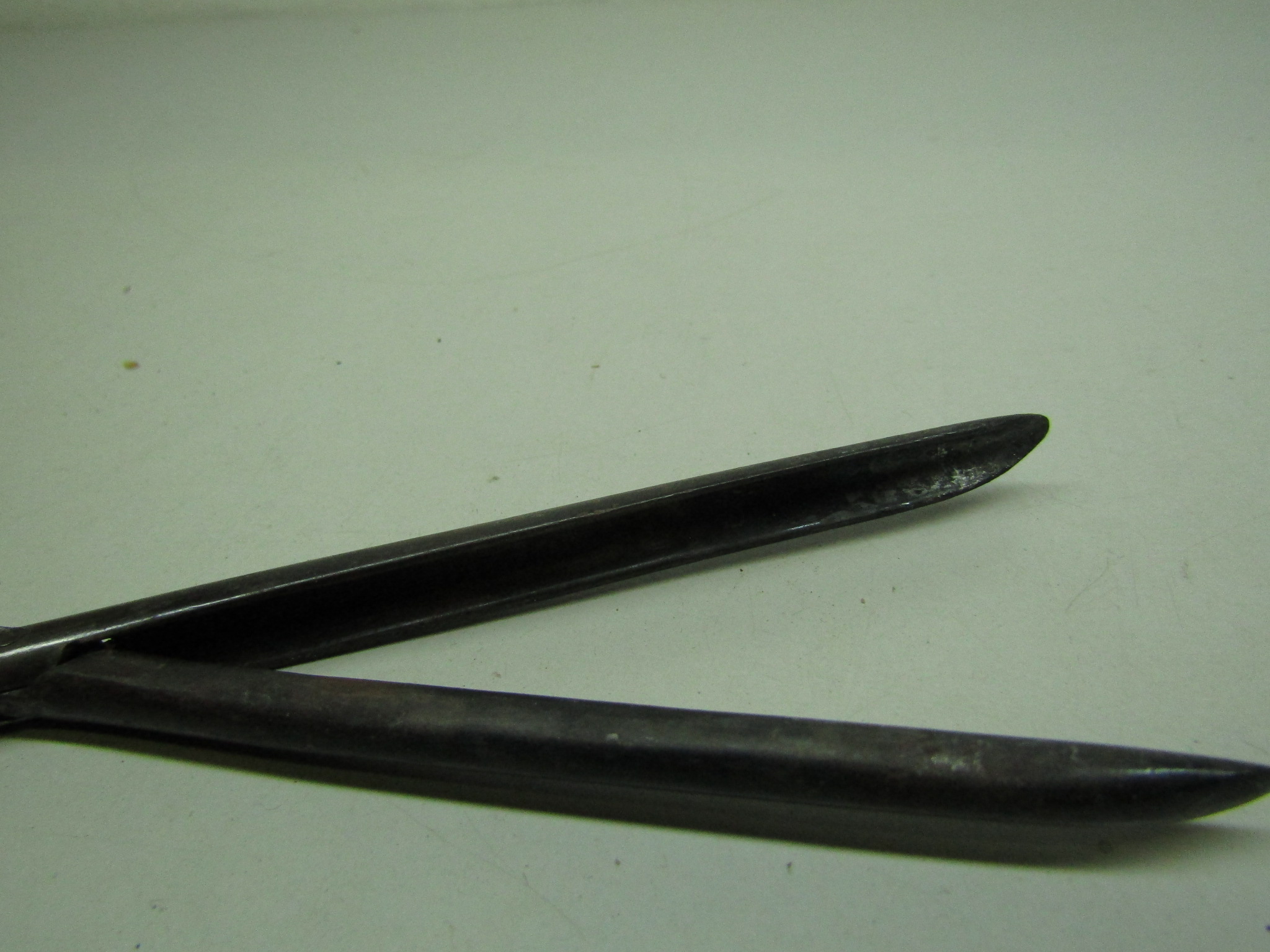 IMG 2997 — Postimages