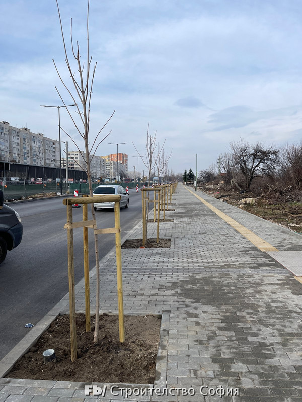 dr IMG 1229 — Postimages