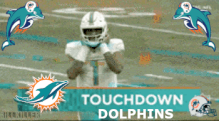 OFFICIAL LAS VEGAS RAIDERS @ MIAMI DOLPHINS GAME THREAD *** WK11 | Page ...