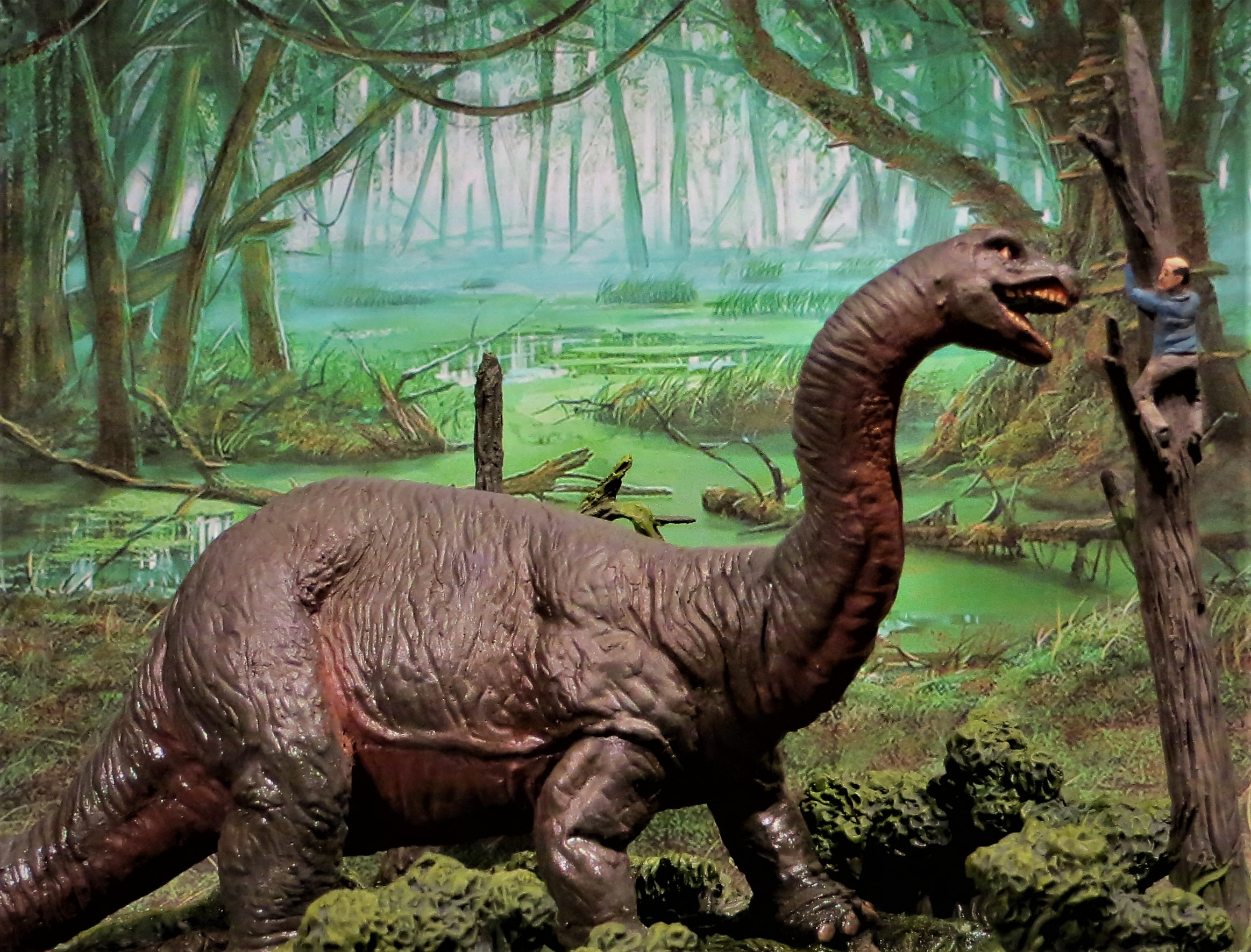 Attack Color Background 2 — Postimages