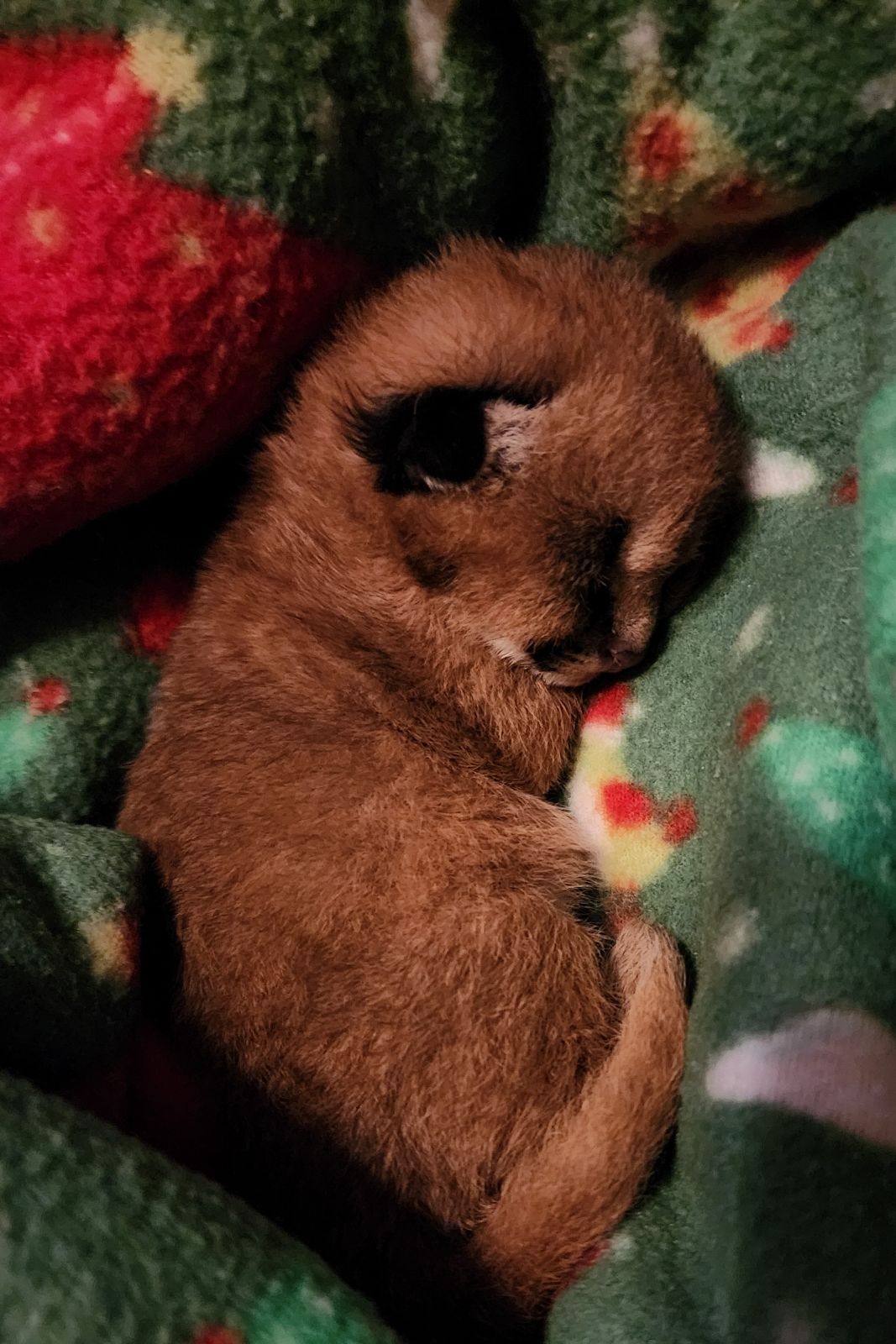 image000000(2) — Postimages