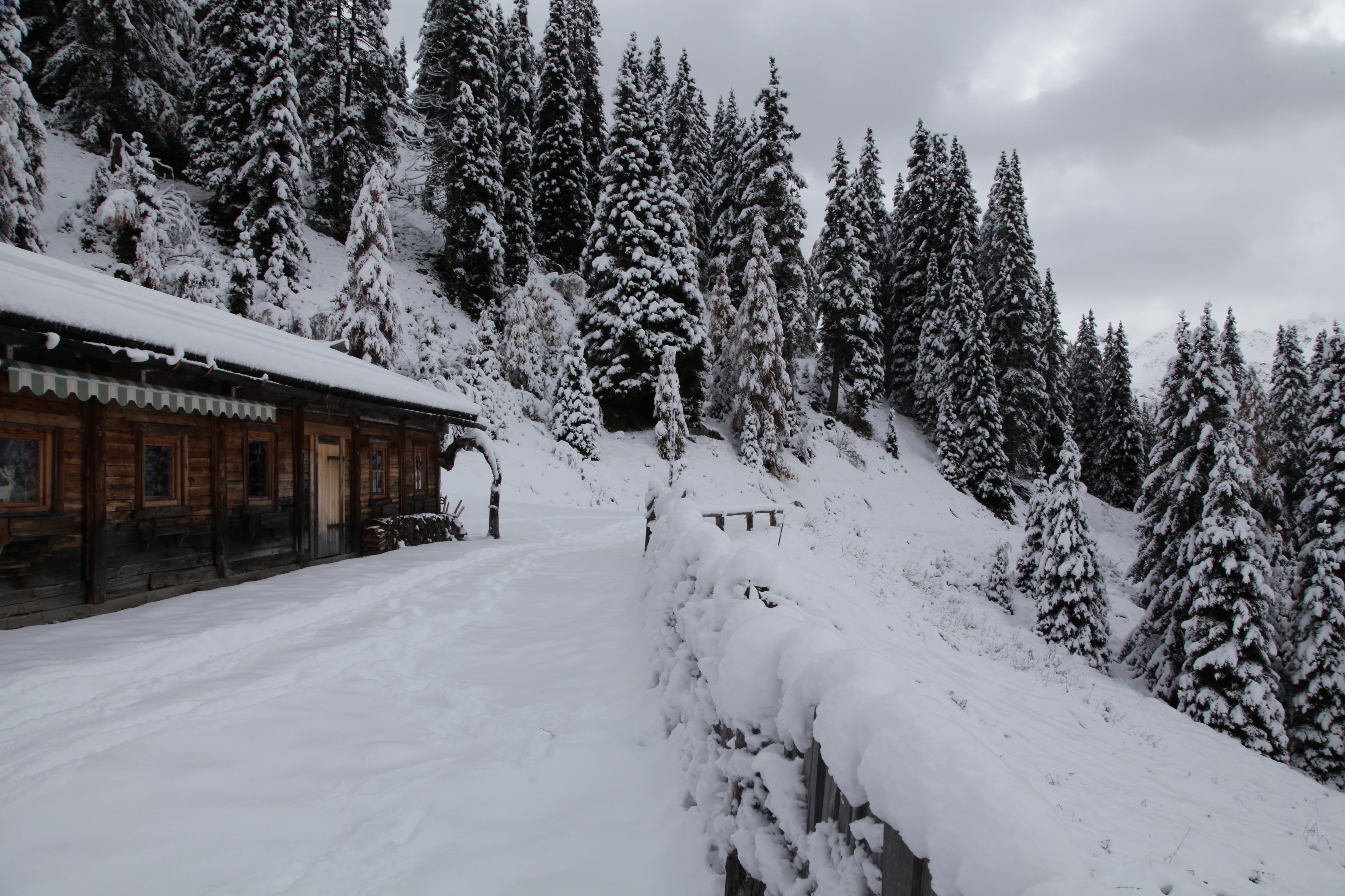 IMG 3215 Original — Postimages