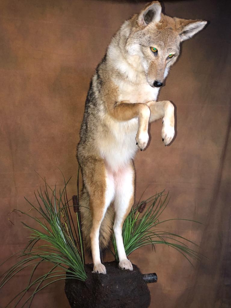 IMG 2007 — Postimages