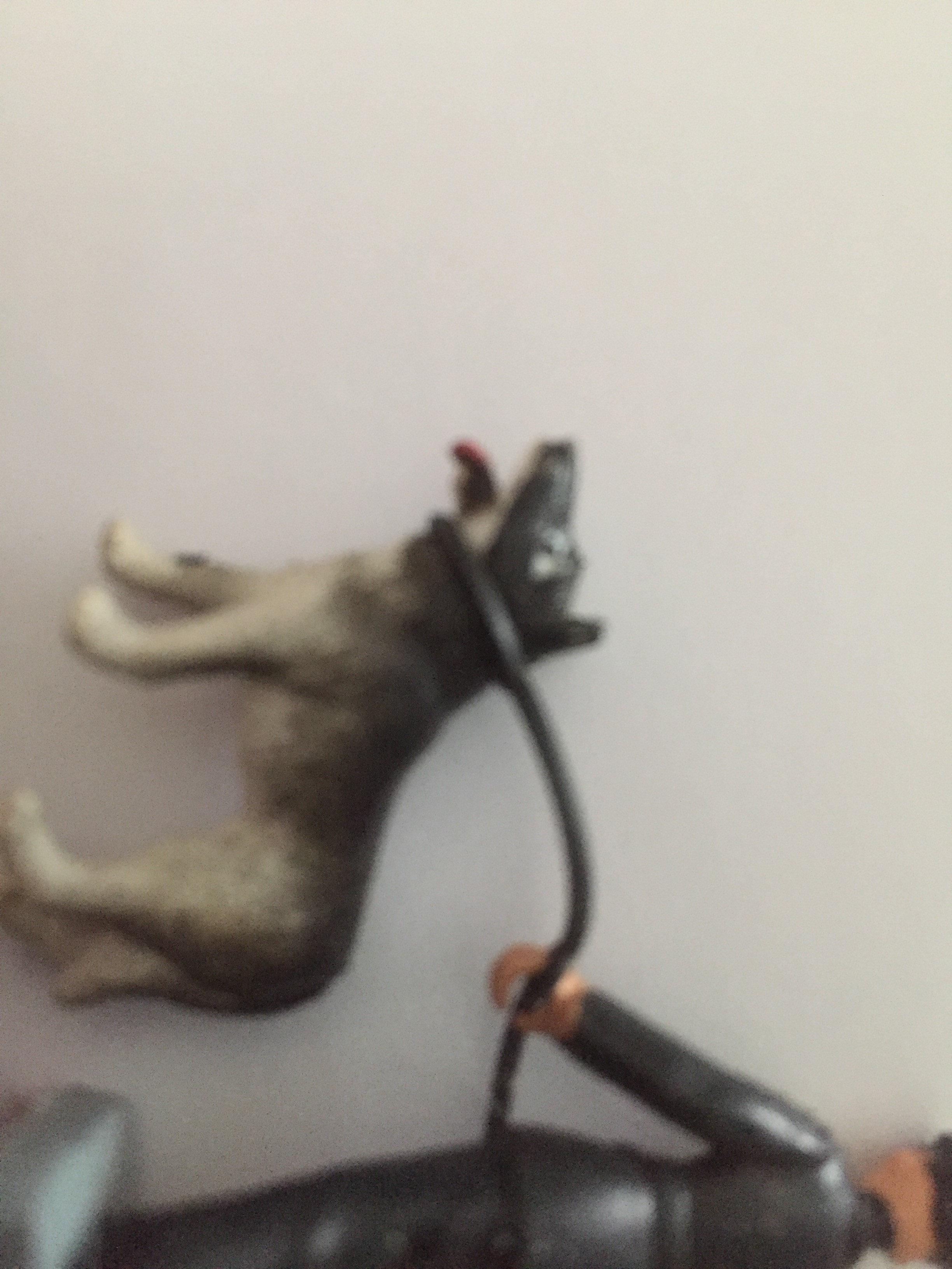 IMG 1990 — Postimages