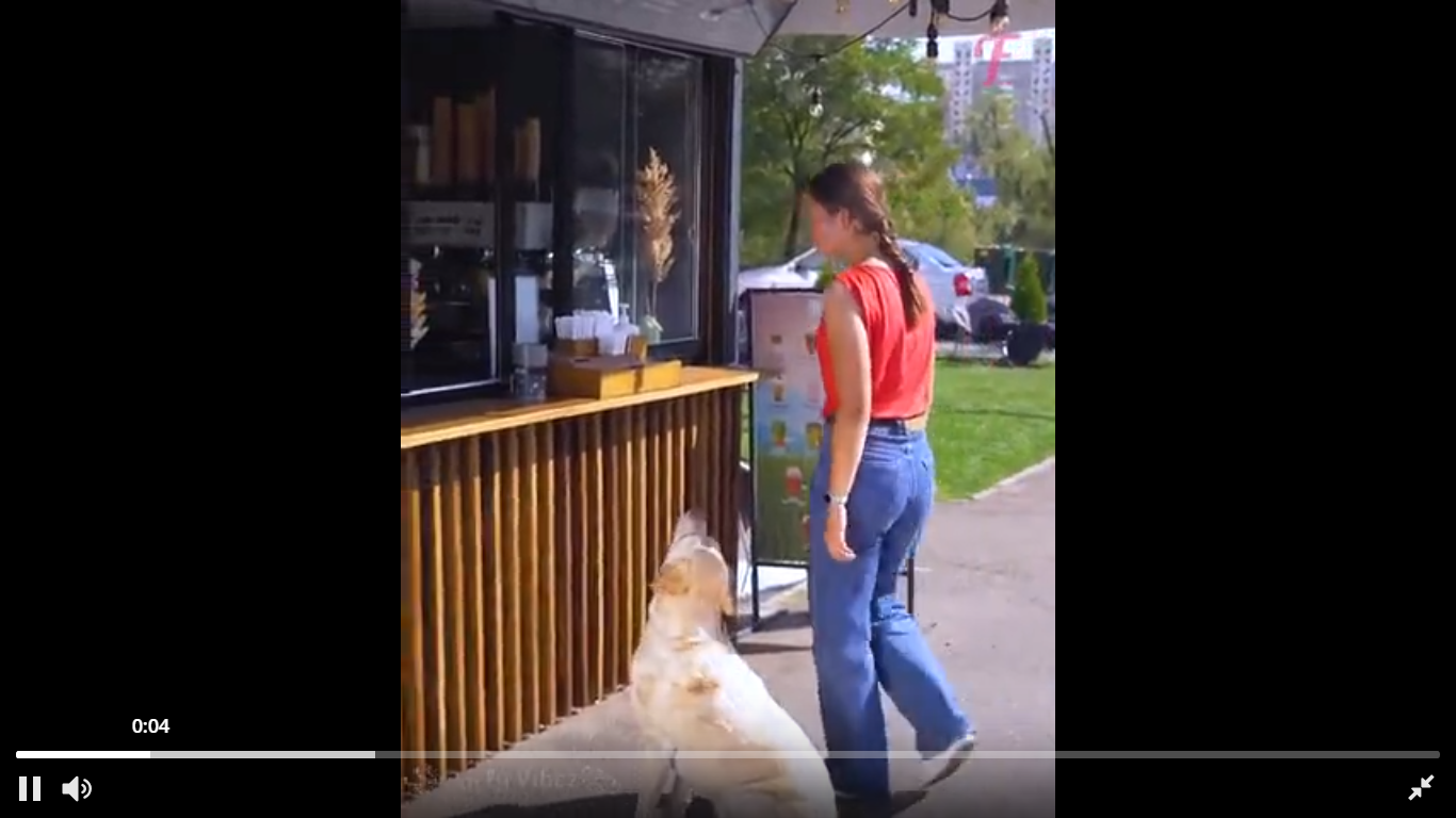 Capture d’écran (70) — Postimages