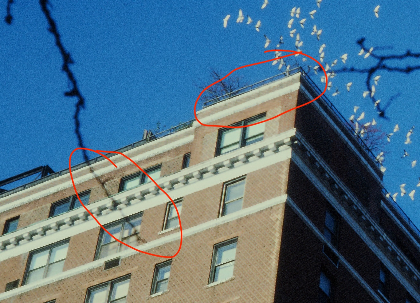 Weird Scans 1 — Postimages