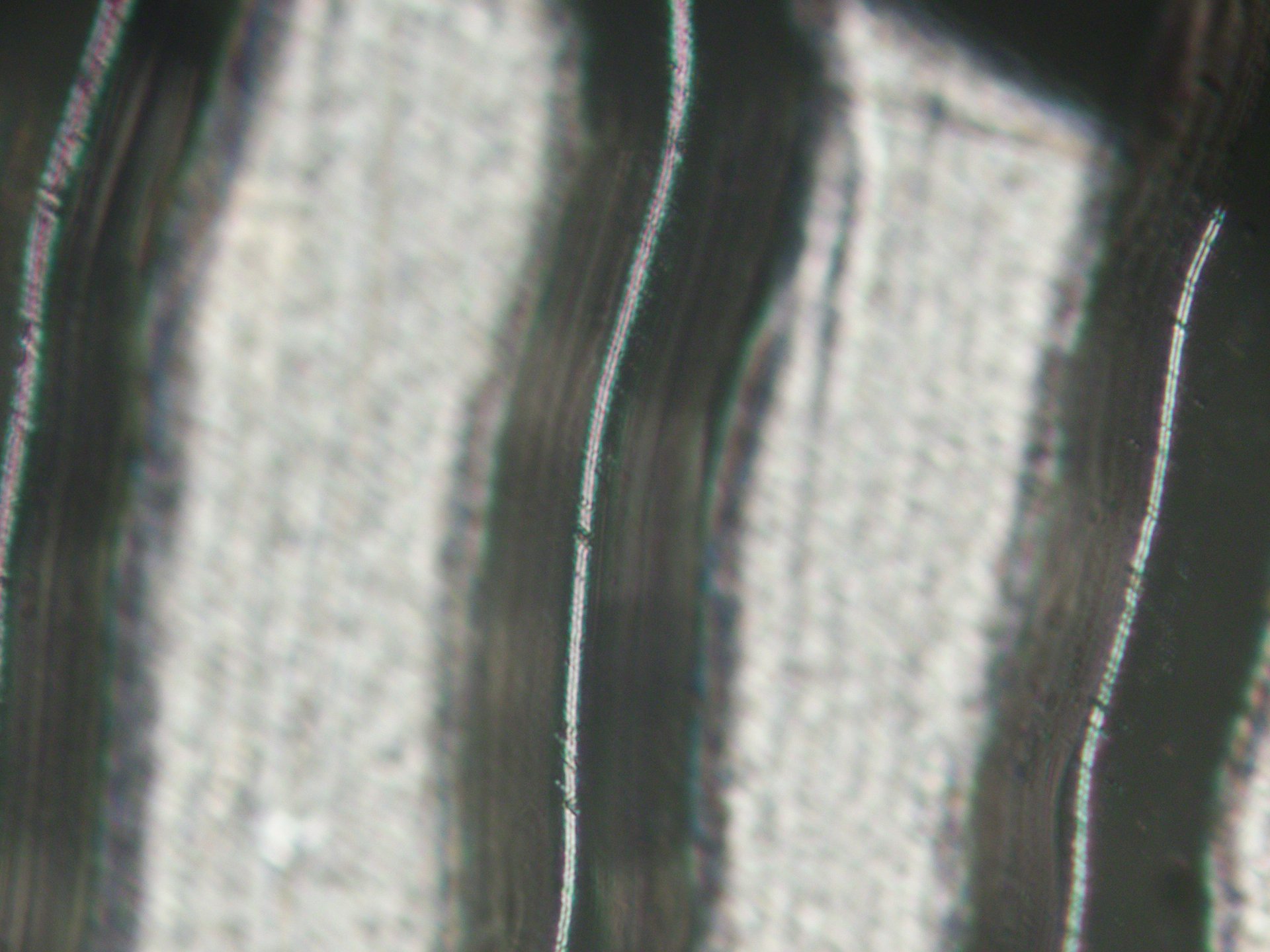 20x ridge top — Postimages