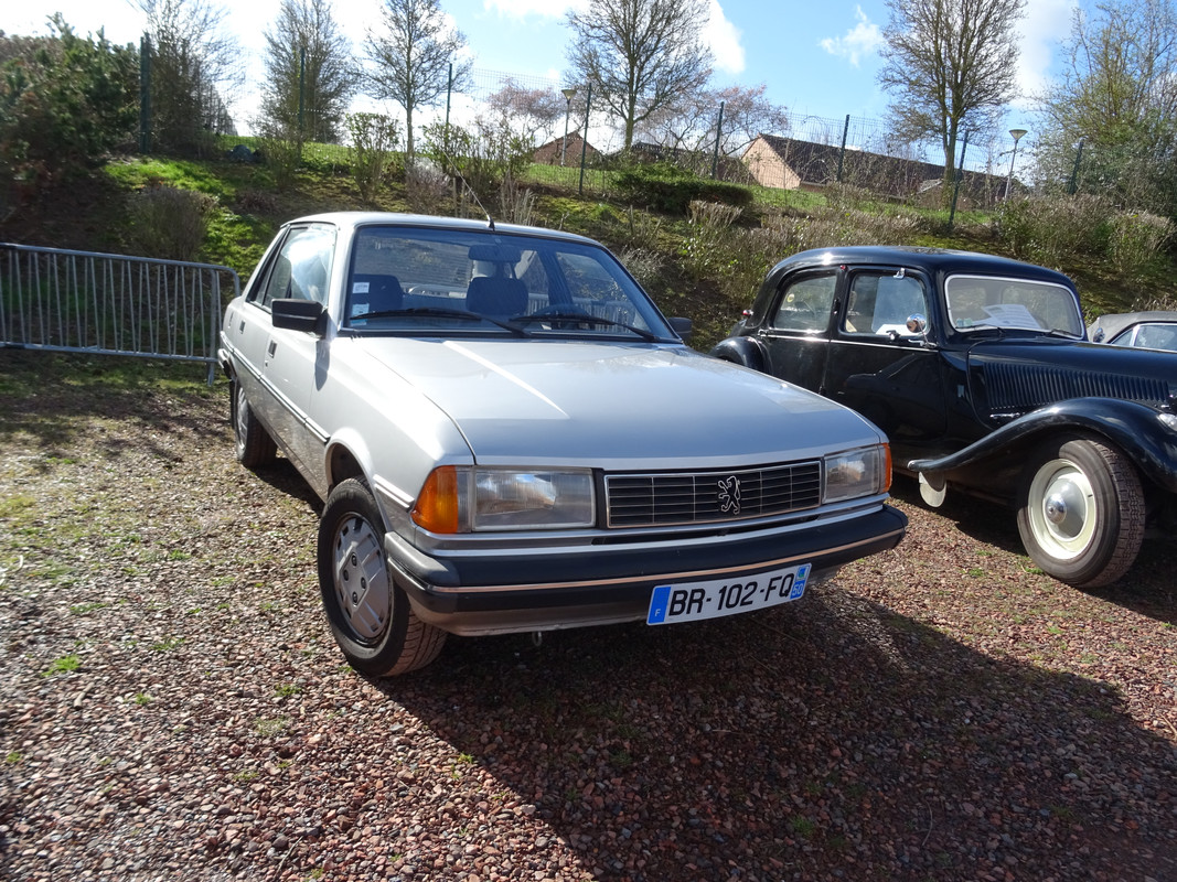 305 SR 1982 — Postimages