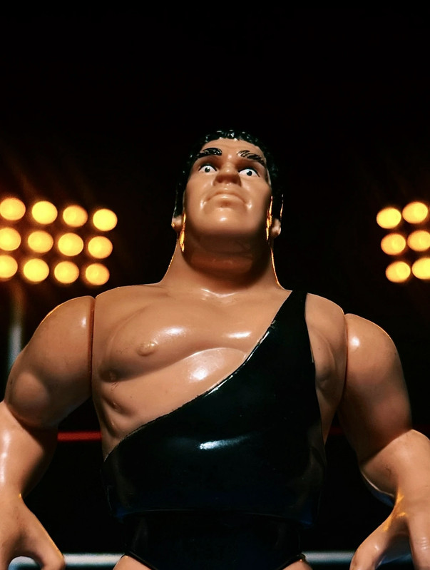 [RETRO] Title Run Toys | Wrestlingfigs.com WWE Figure Forums