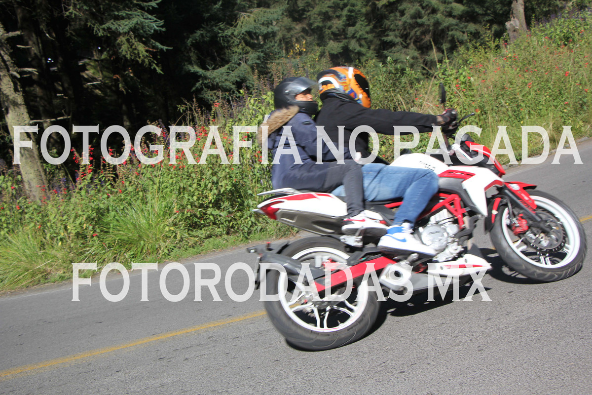 IMG 4231 — Postimages