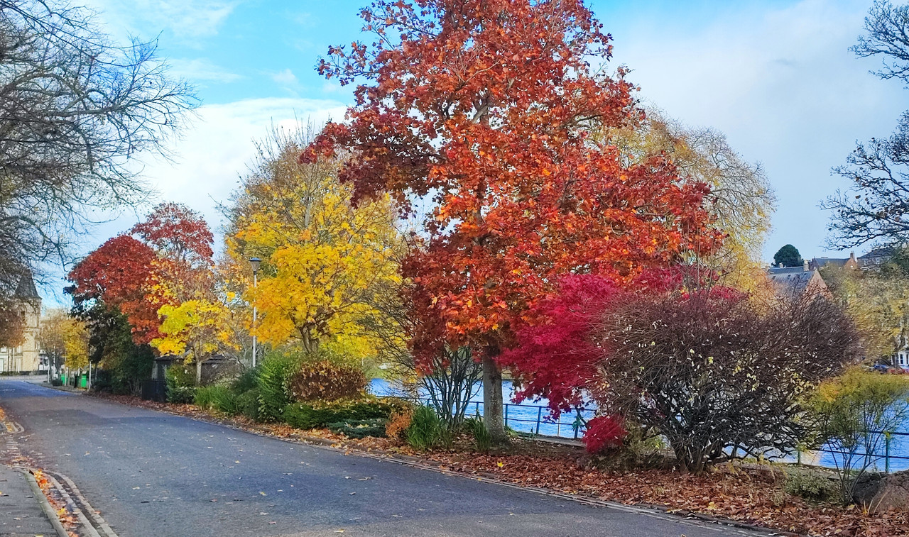 Ness Walk, Inverness. By the River Ness and cathedral. : r/Scotland
