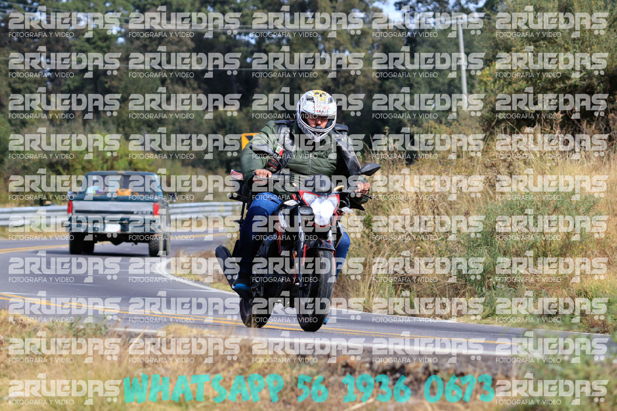 MG 0230 — Postimages