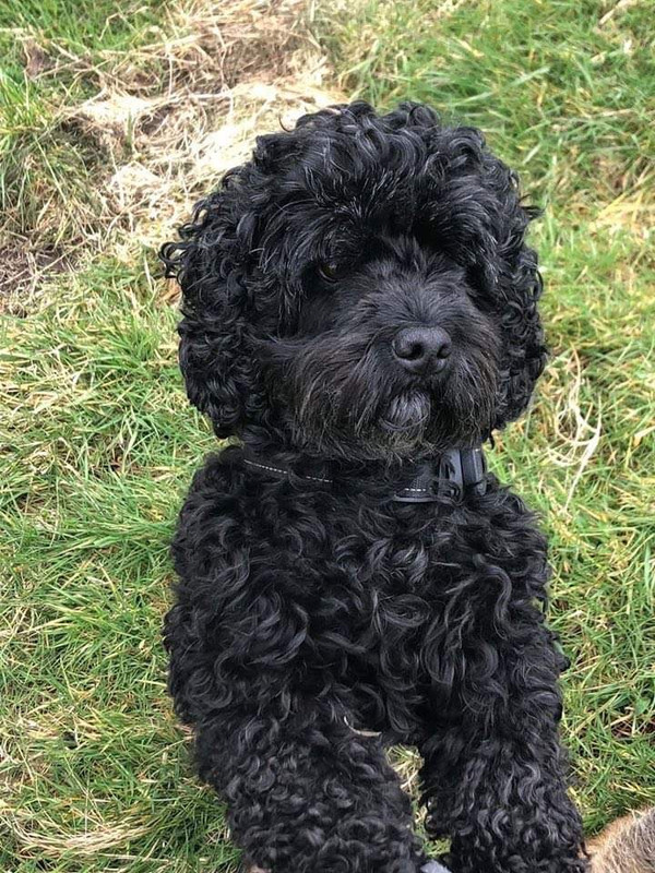 IMG 0528 — Postimages