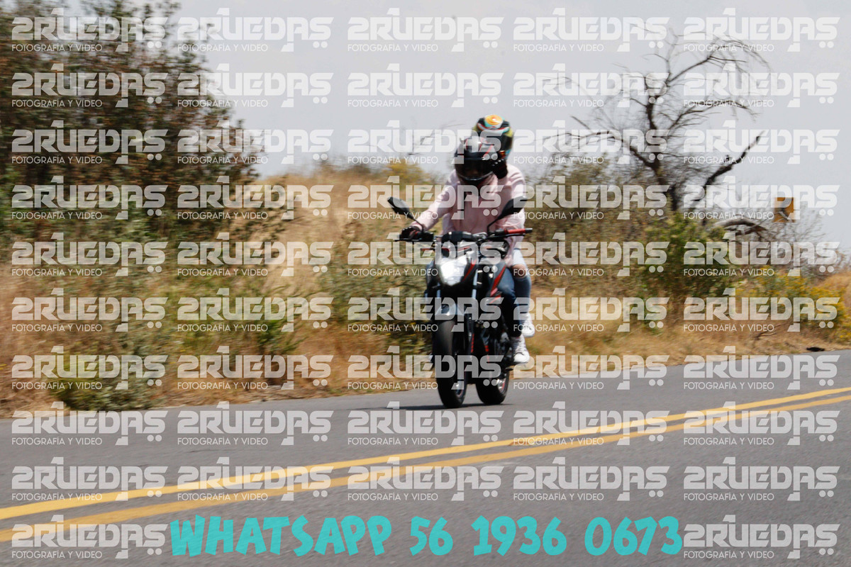 MG 0835 — Postimages