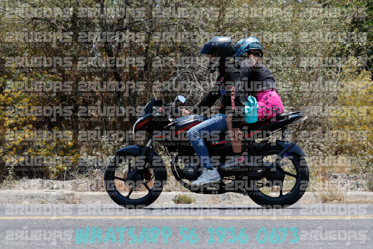 MG 1039 — Postimages