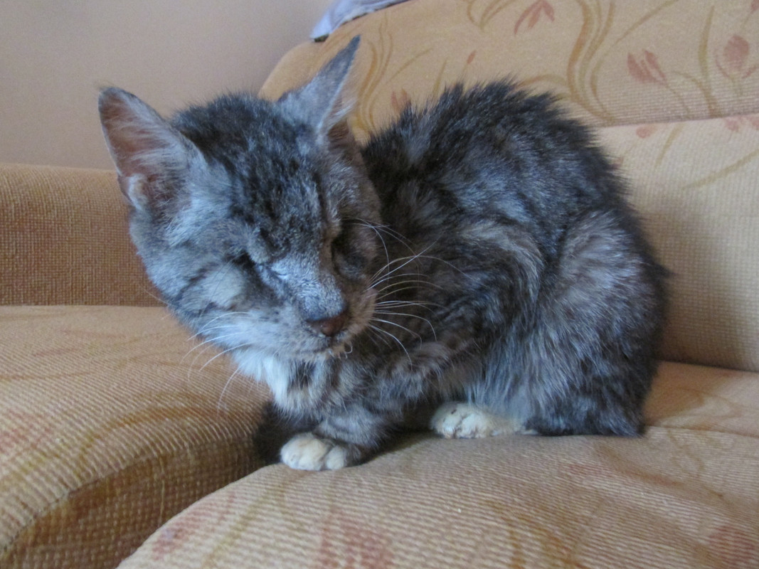 IMG 3446 — Postimages