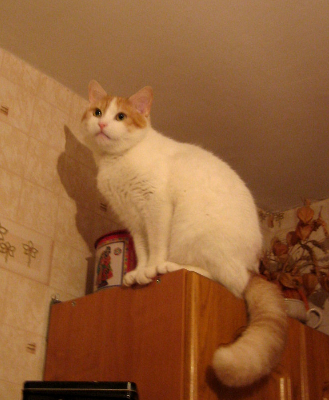 IMG 2890 — Postimages