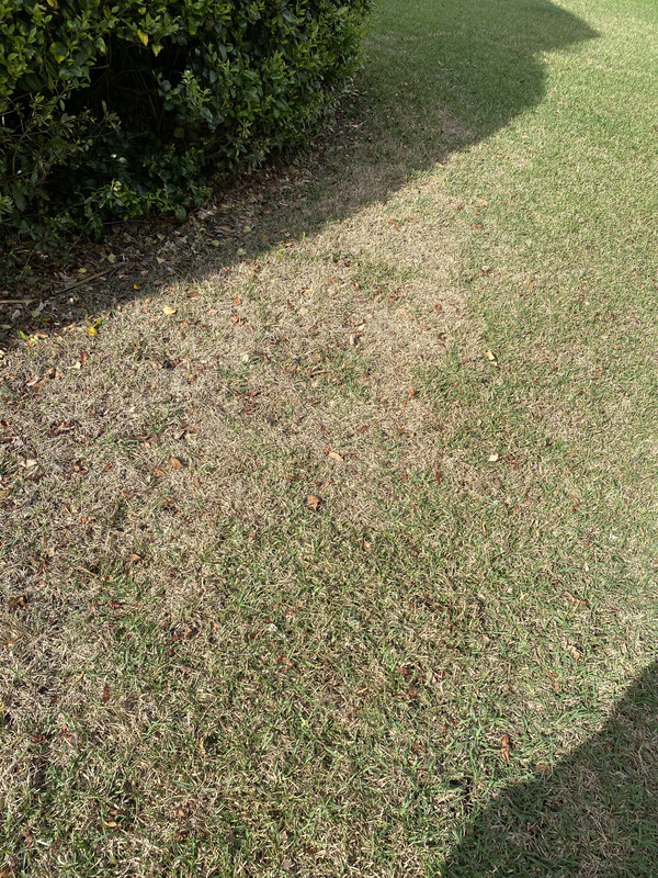 Front Lawn Issue | Lawn Care Forum