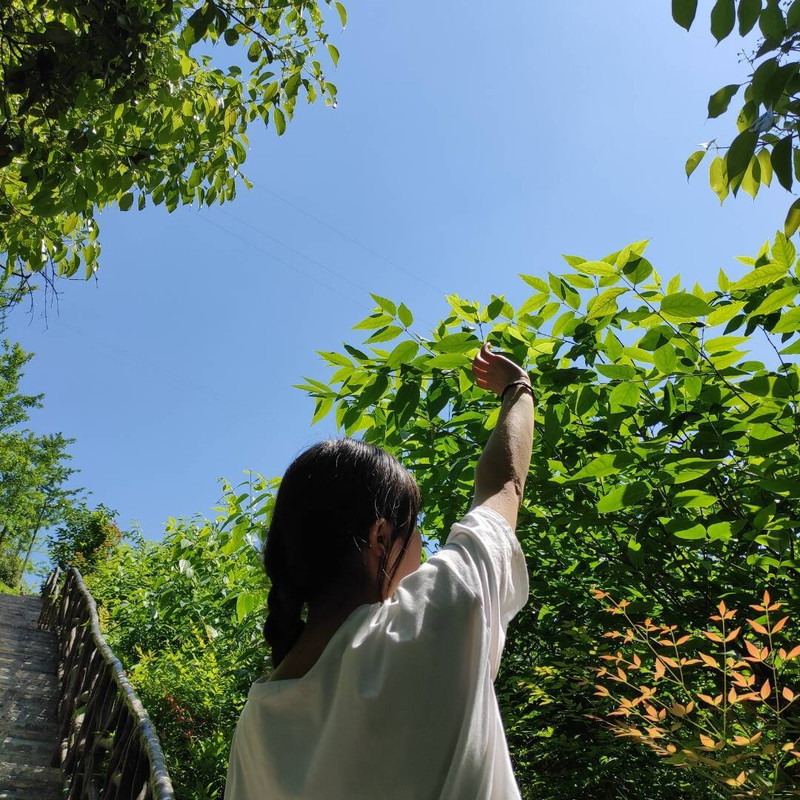 2 E9 A638 A65 E5570117 A4955586 C5 C4 D1 0 — Postimages