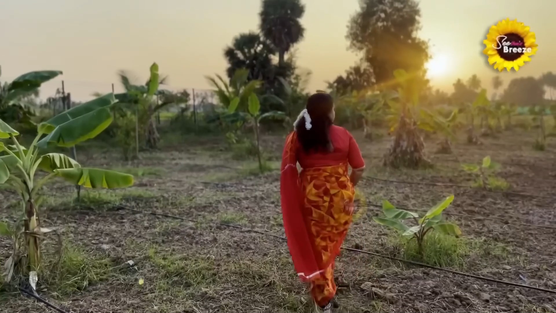 Matured Seetha open intentional navel show in orange saree mp4 snapshot 00 35 936 — Postimages