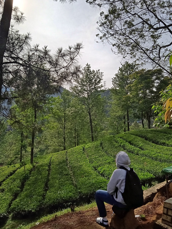 Img 20230429 081912 Postimages