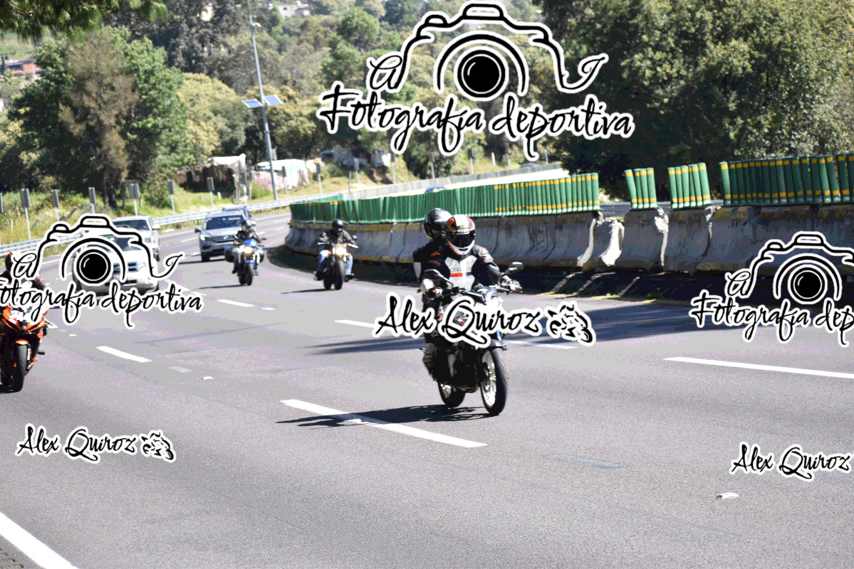 AVQ 8735 — Postimages