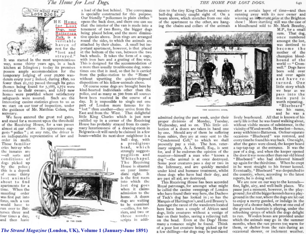 WW1 The Strand Magazine June 1891 Gas Chambers The Home for Lost Dogs ...
