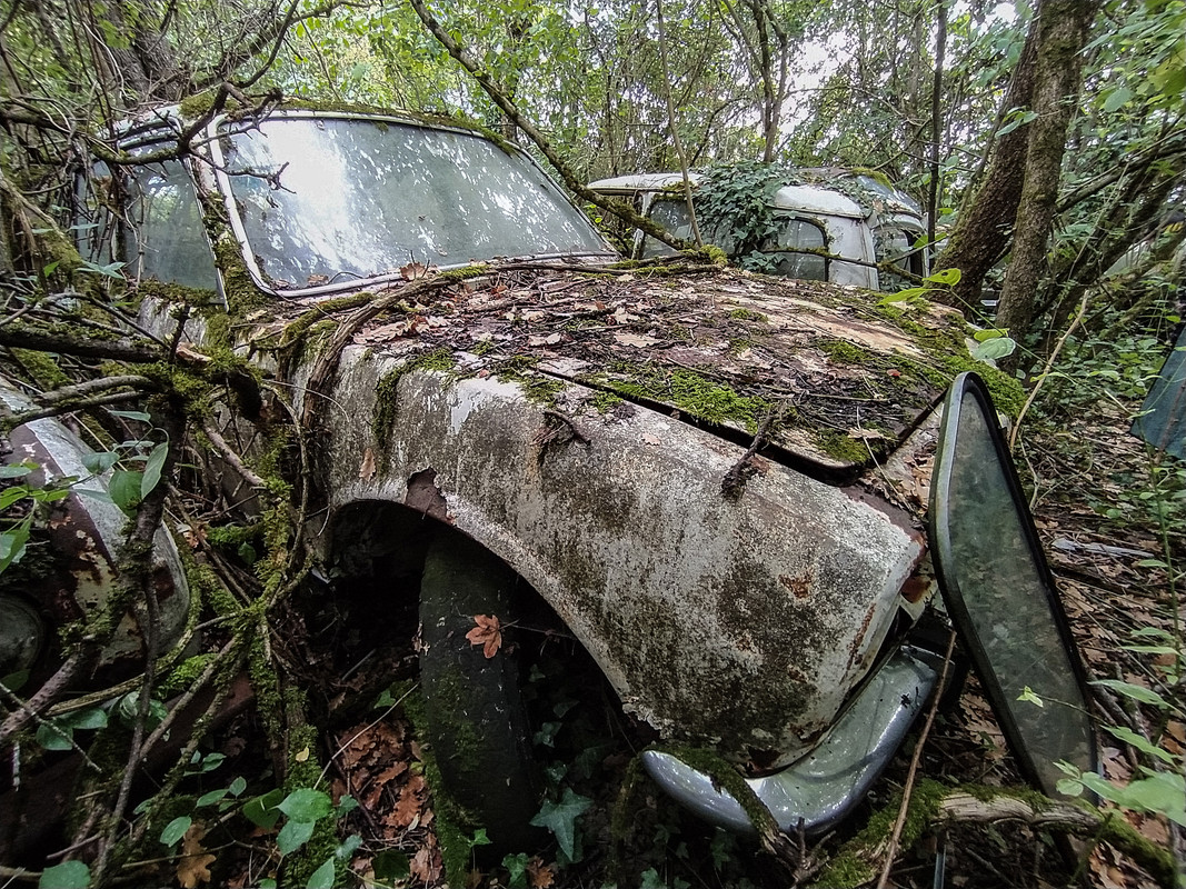 IMG 20200823 120836 modif — Postimages