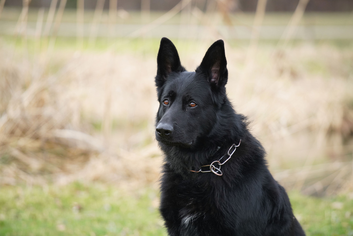 DSC00038 up — Postimages