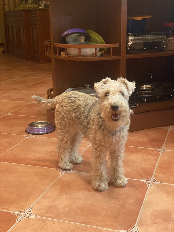 IMG 1637 — Postimages