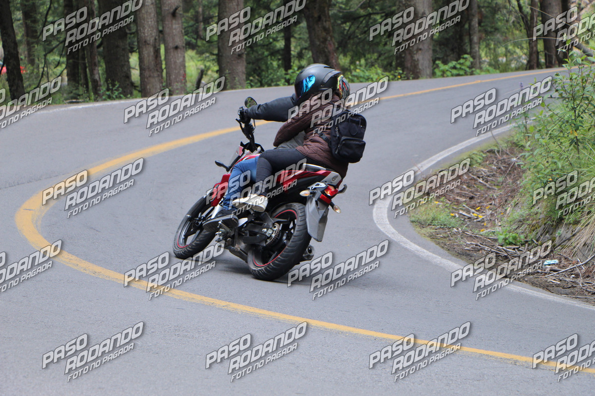 IMG 4445 wm 4971515 6 watermarked — Postimages