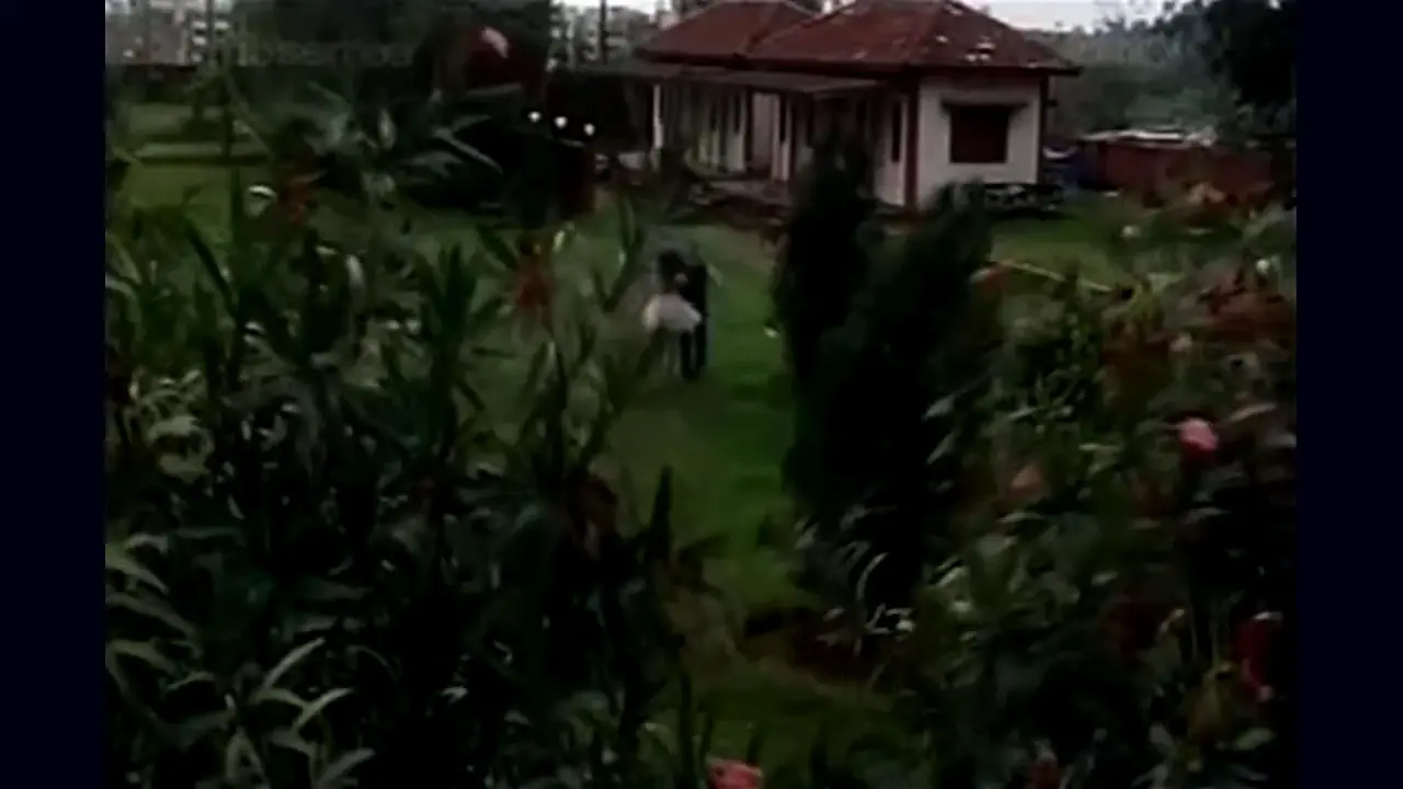 f 251 — Postimages